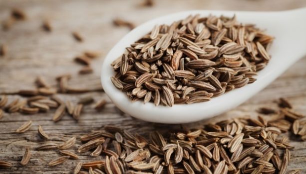 ¿Qué es el comino? - Colaboracion cientifica