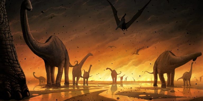 Extinciones que han ocurrido en la Tierra - Colaboracion cientifica