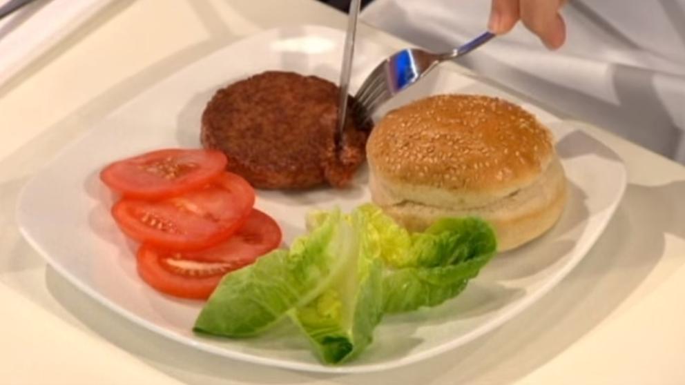 La comida artificial: una propuesta para salvar vidas - Colaboracion ...